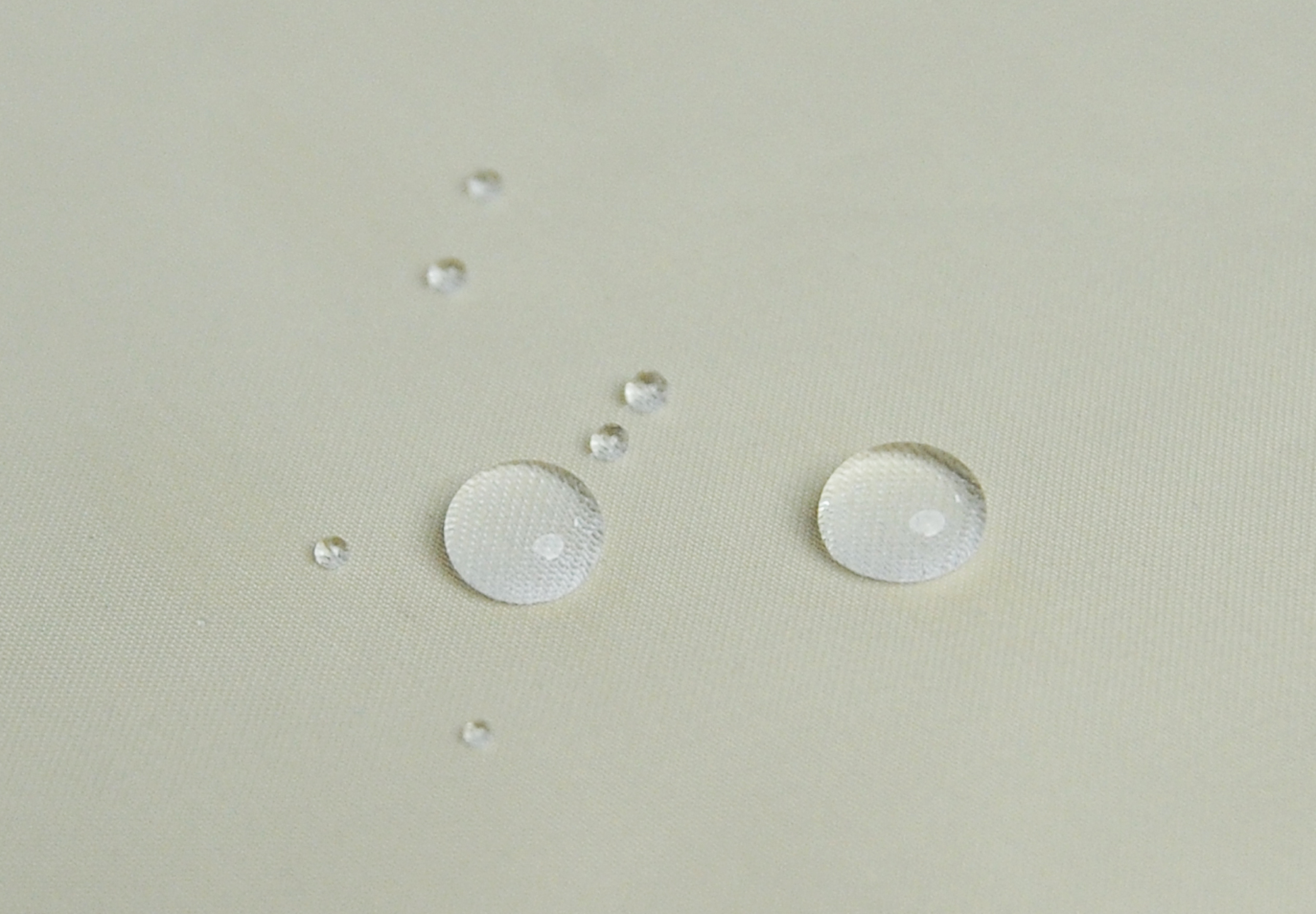 De Licacy 得力實業股份有限公司